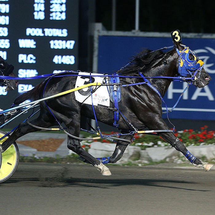 1 Share of BETTING LINE (72)