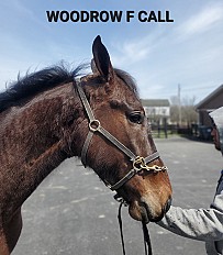 WOODROW F CALL