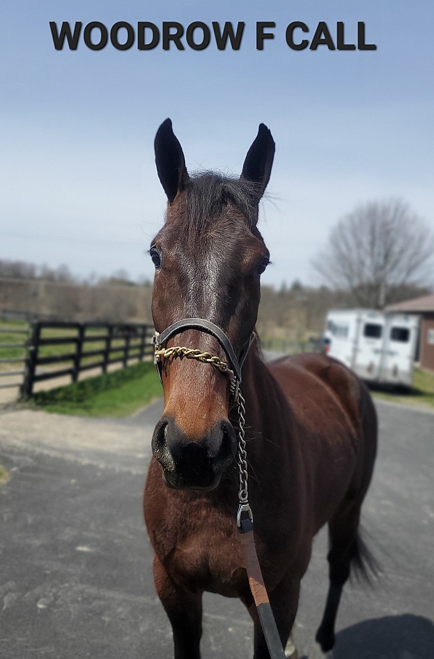 WOODROW F CALL